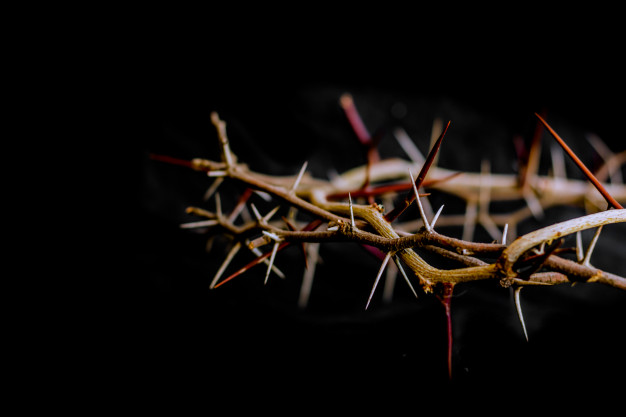 Palm Sunday – Encountering God’s Goodness – Smitten With Goodness