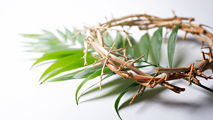 Palm Sunday – Encountering God’s Goodness – Smitten With Goodness