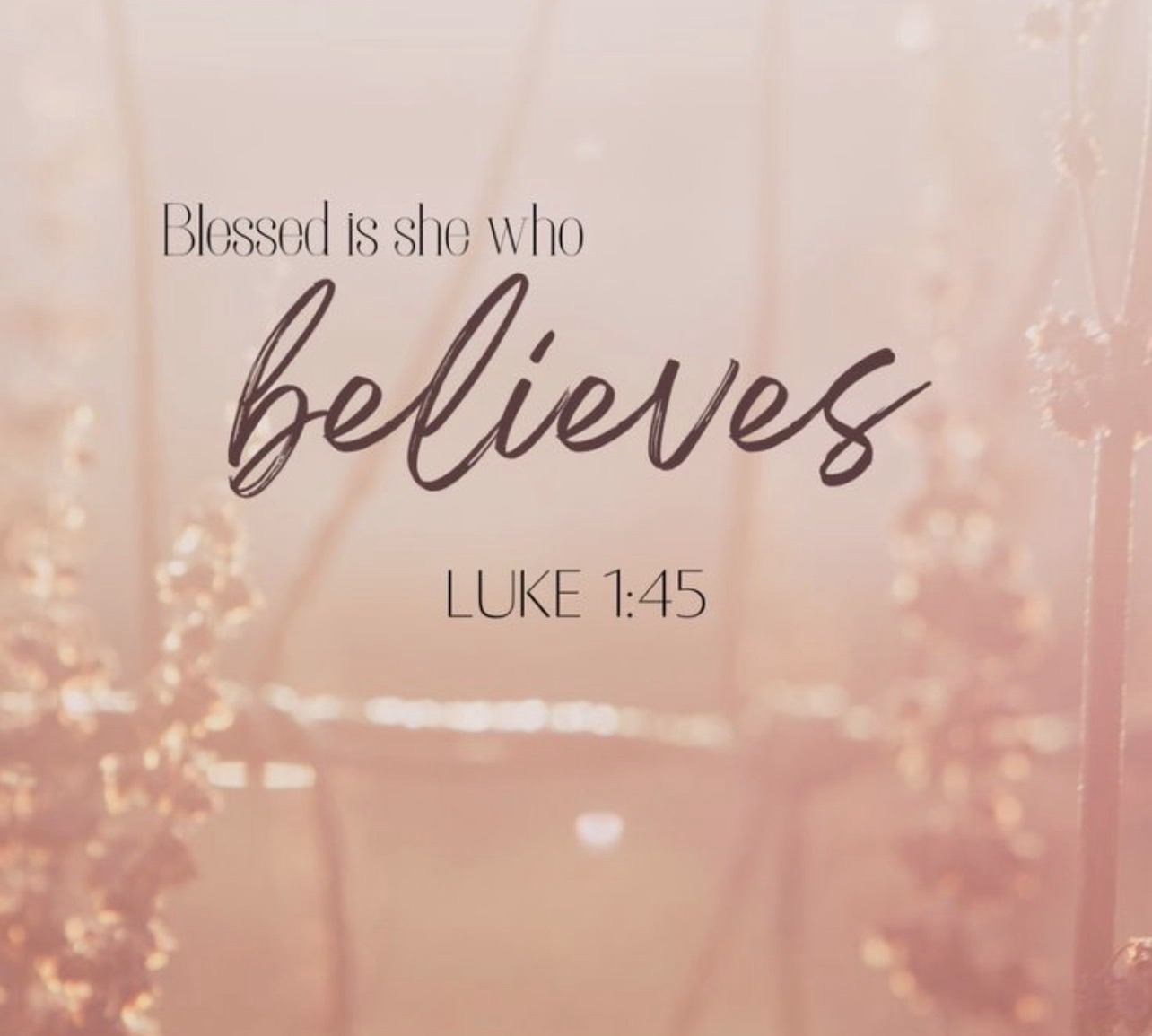 February 2026 – Smitten With Goodness